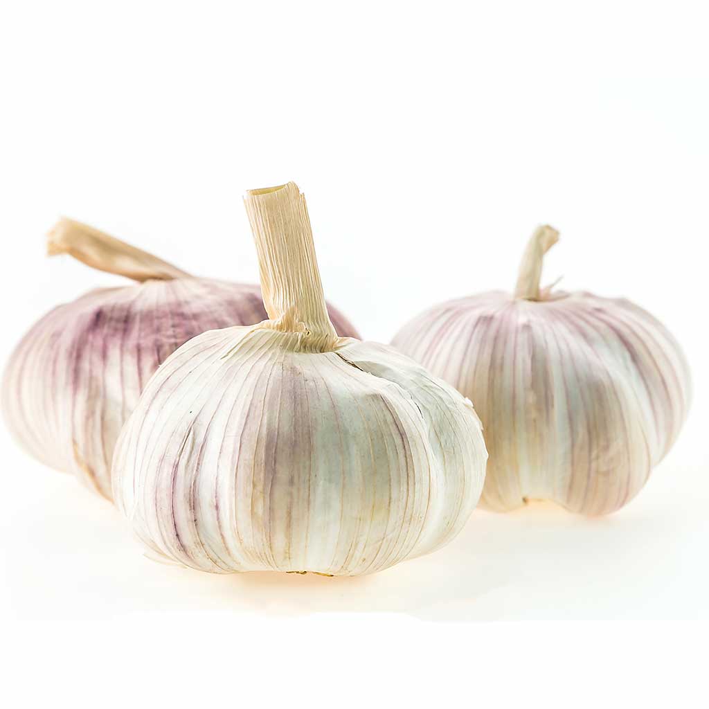 Kashmiri Mountain Garlic – Kashmirbazzar